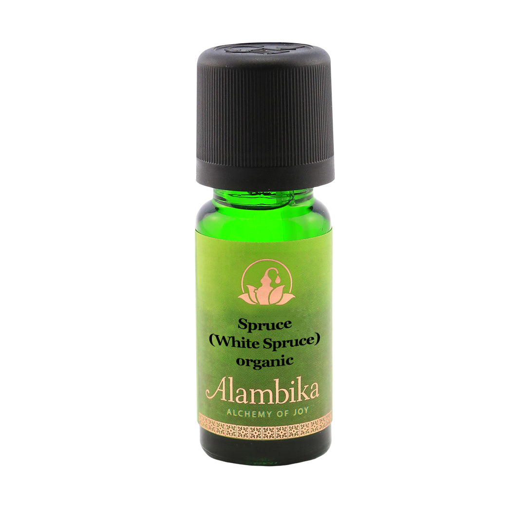 Alambika 野生有機白雲杉精油 Spruce (White Spruce) Wild Organic Essential Oil ...