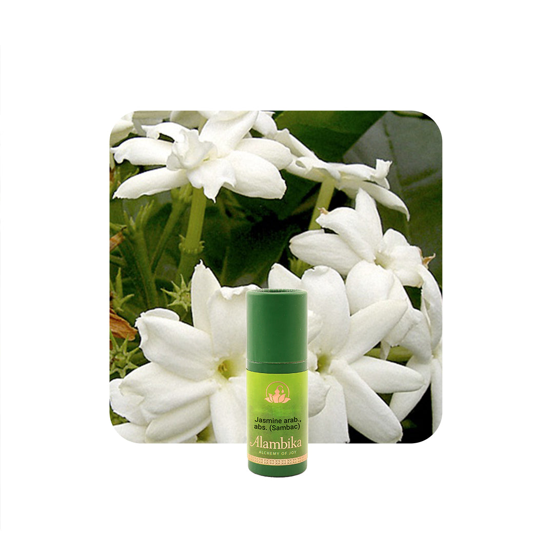 Alambika Jasmine Indian Absolute – Eros Verde