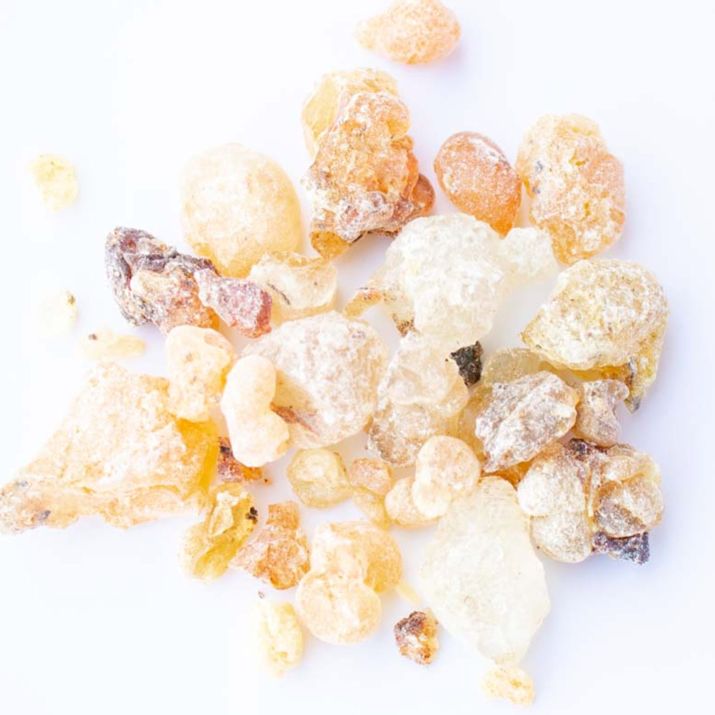 乳香樹脂 Frankincense Gum – Eros Verde