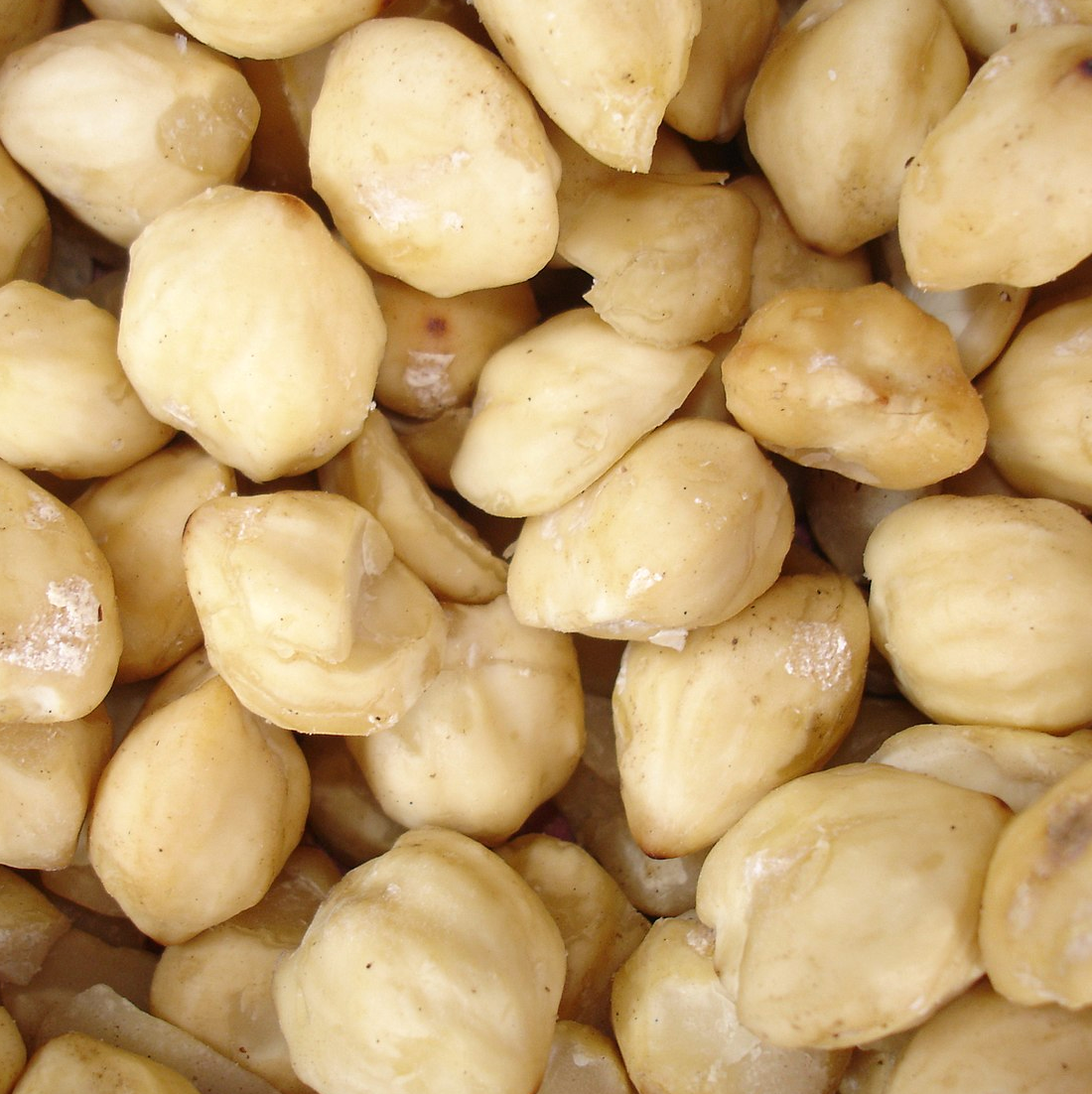 Alambika 天然石粟油 Cucui Nut Oil – Eros Verde