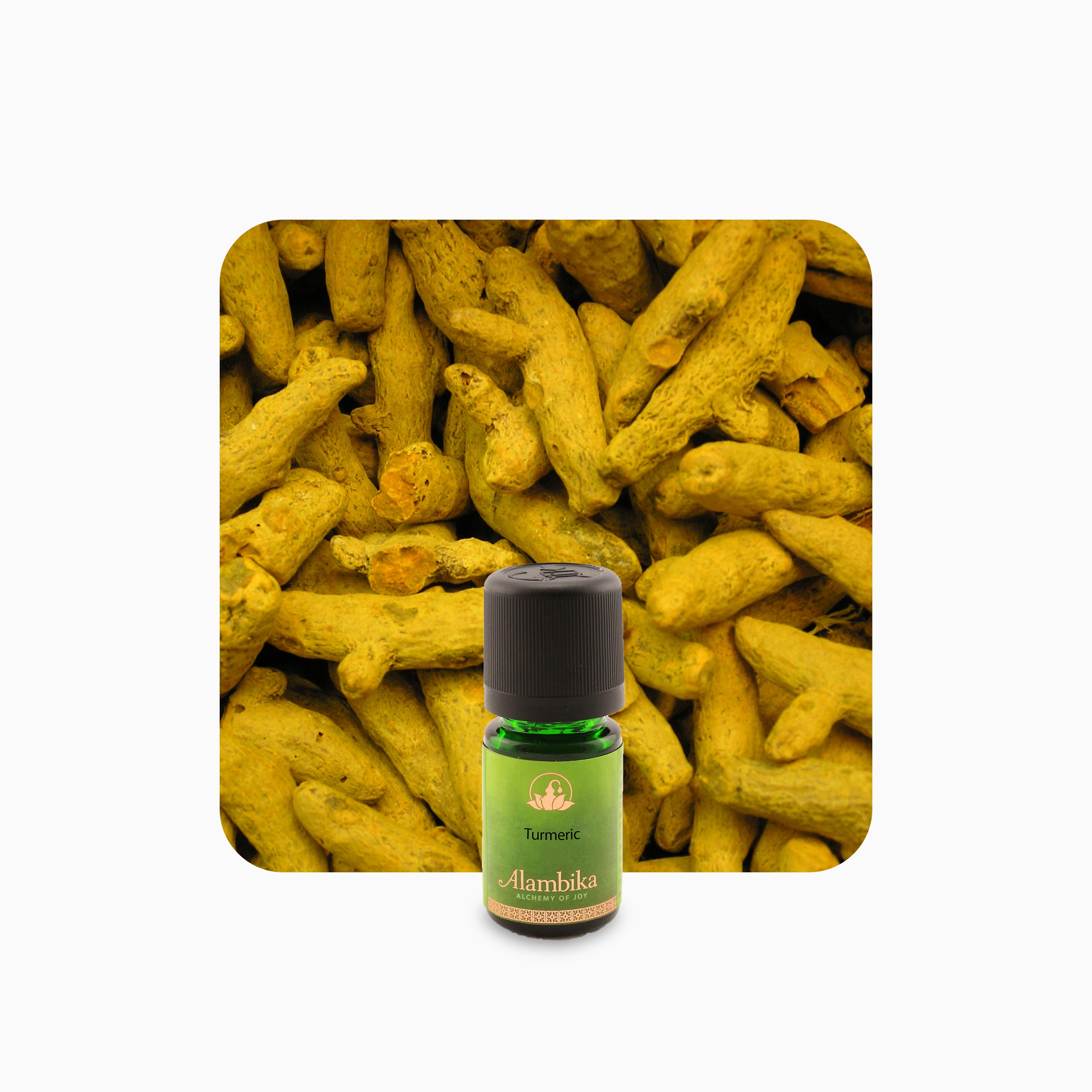 Alambika 有機薑黃精油 Turmeric Organic Essential Oil – Eros Verde