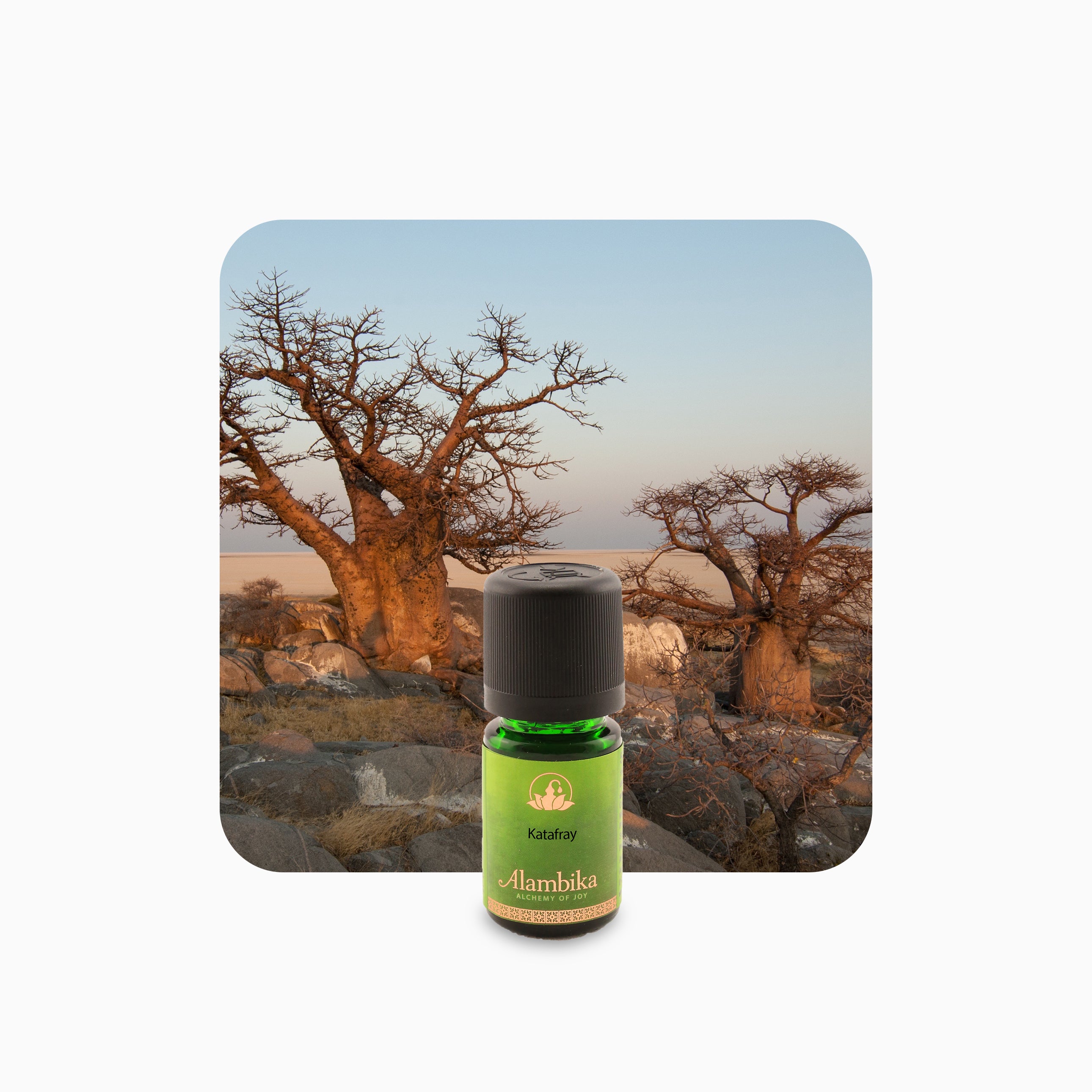 Alambika 有機卡塔非精油 Katafray Organic Essential Oil – Eros Verde
