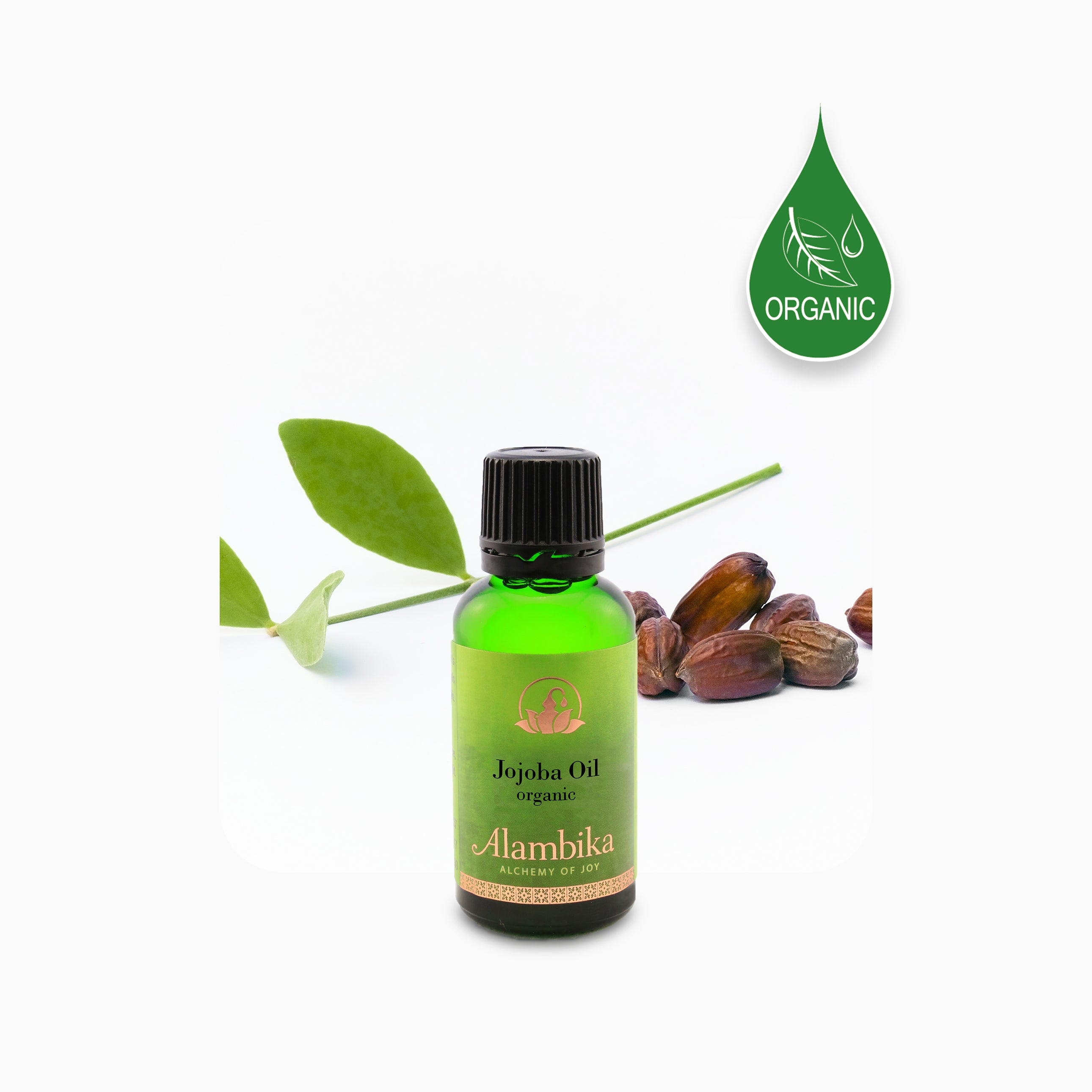 Alambika 有機野生有機黃金荷荷巴油 Jojoba Wild Organic Oil – Eros Verde