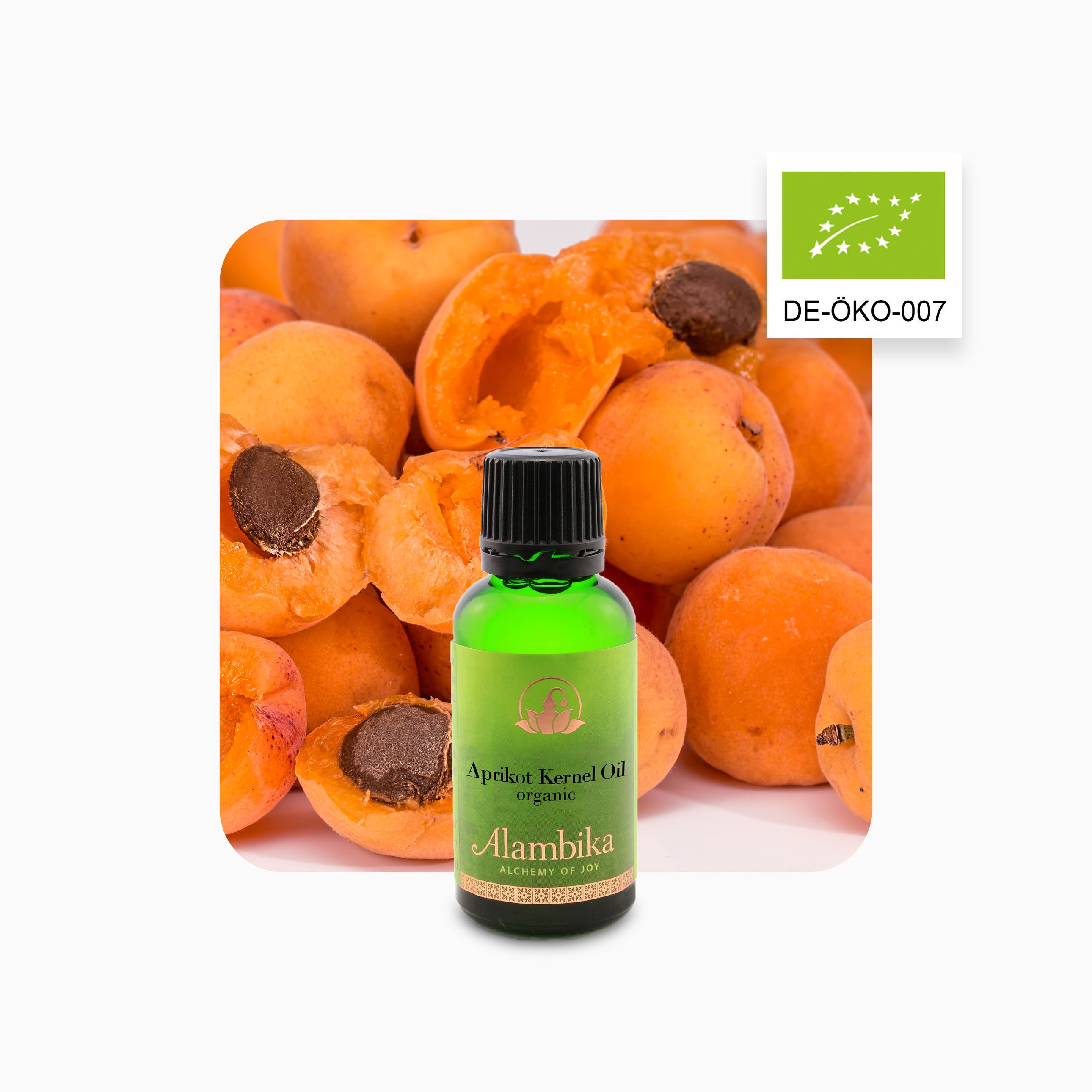 Alambika Apricot Oil Organic – Eros Verde